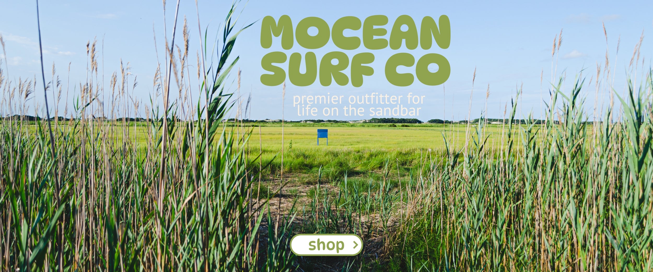 MOCEAN Surf Company Cape Cod