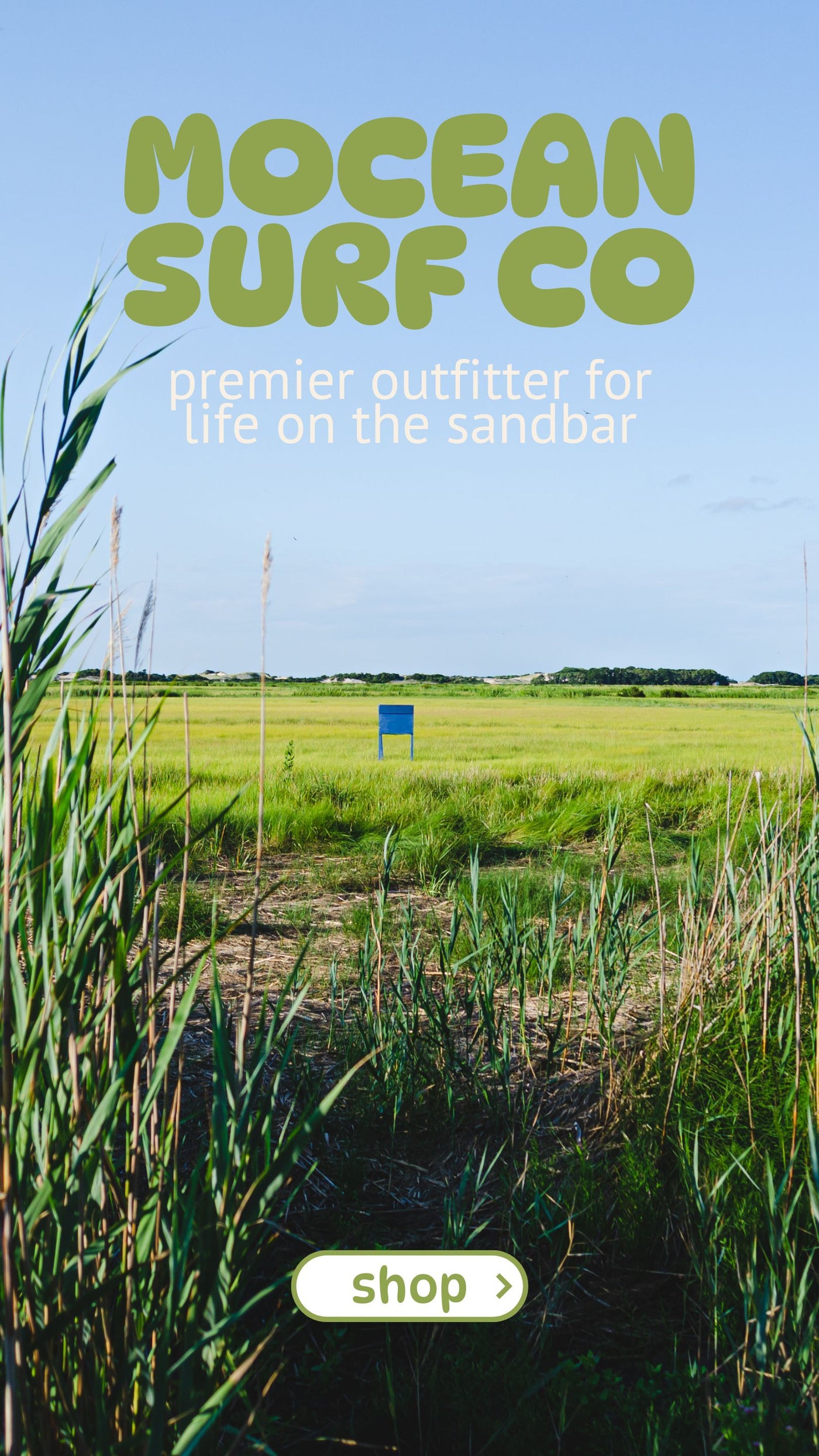 MOCEAN Surf Company Cape Cod